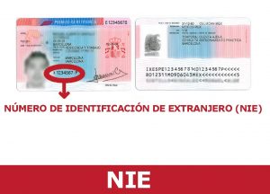 Modelo 790 ¡Tienes que saber ESTO!